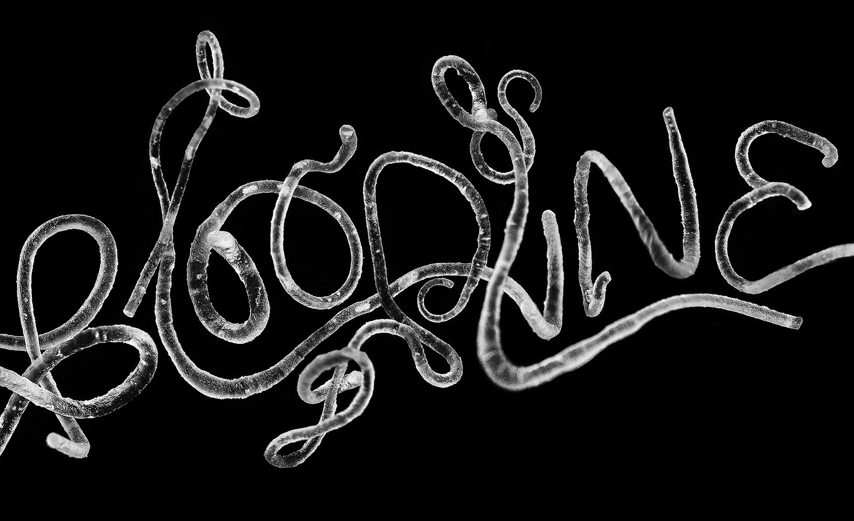 Levine/Leavitt — Sean & Eve