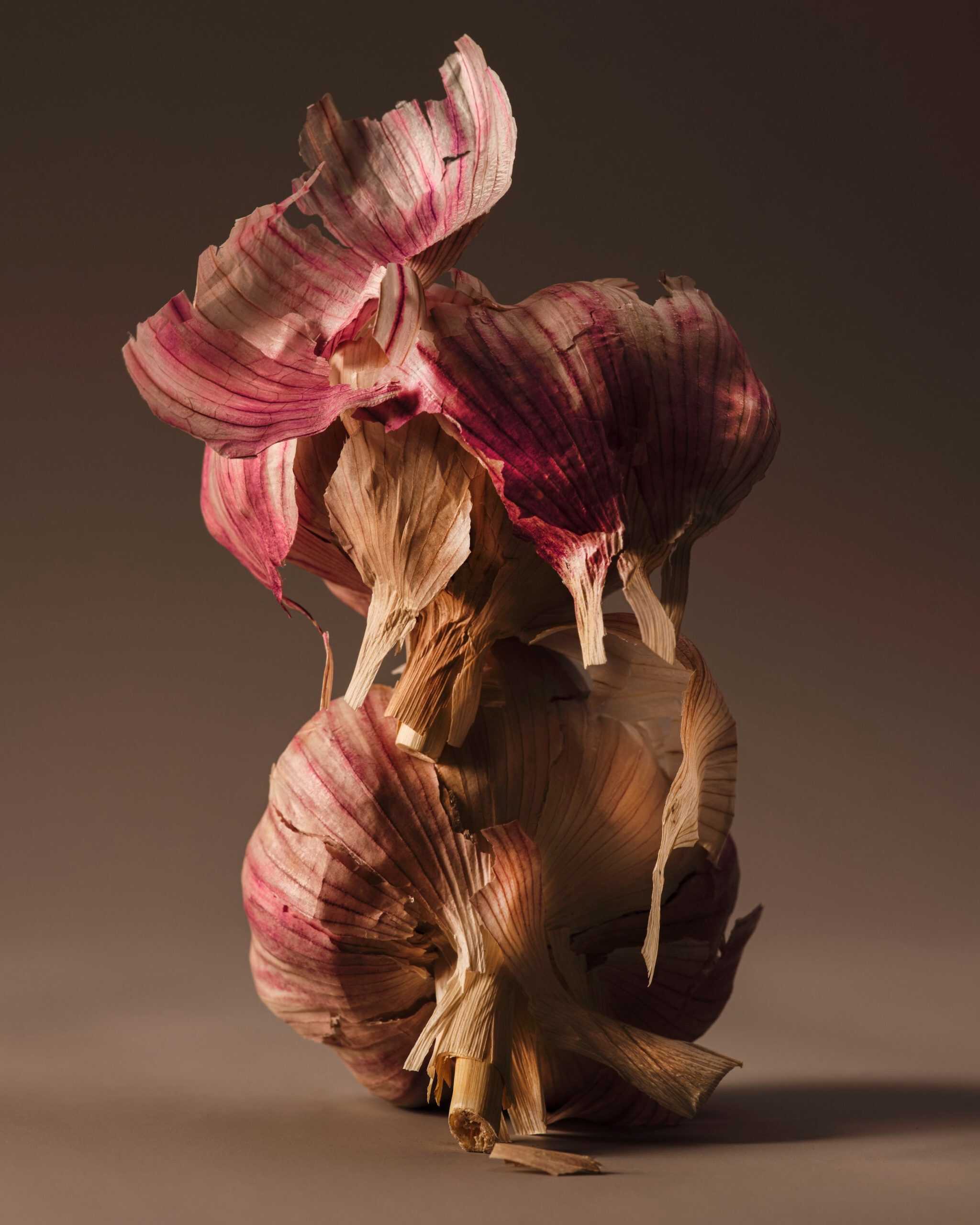 Levine/Leavitt — Suzanne Saroff