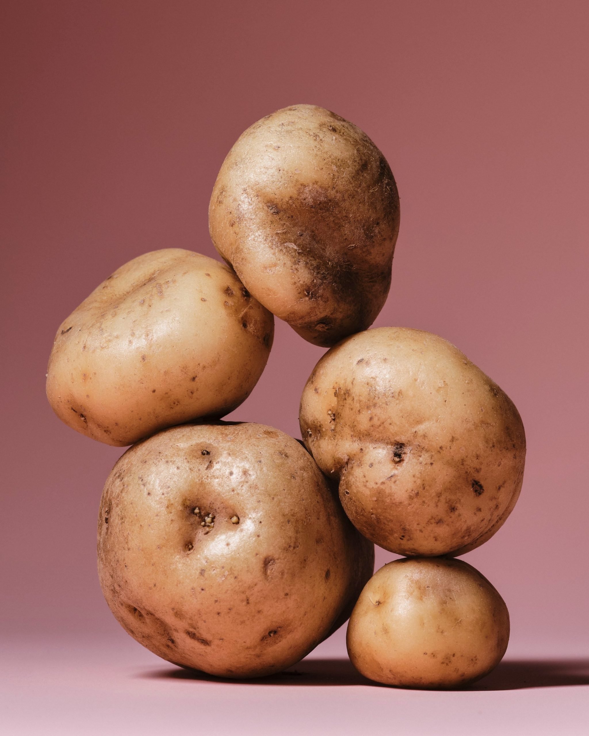 Levine/Leavitt — Suzanne Saroff