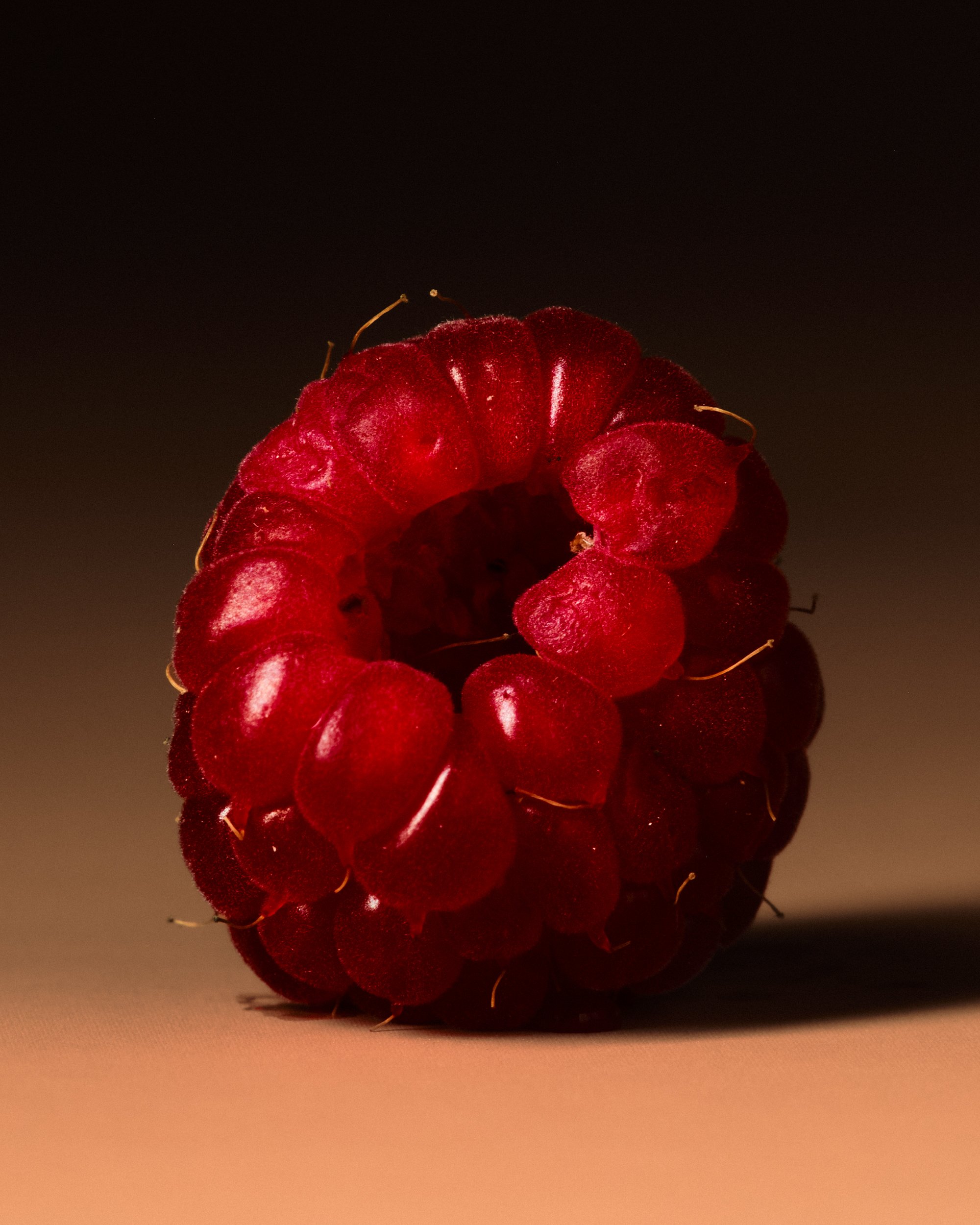 Levine/Leavitt — Suzanne Saroff