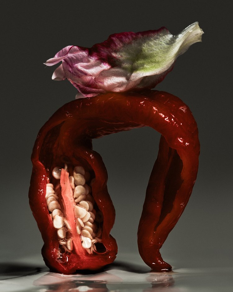 Levine/Leavitt — Suzanne Saroff