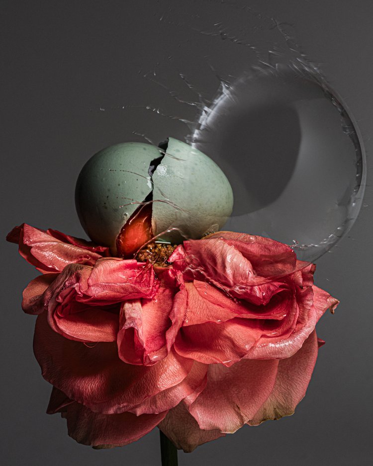 Levine/Leavitt — Suzanne Saroff